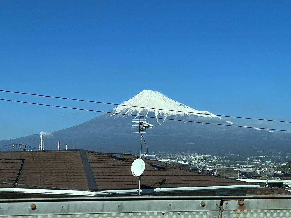 @raizap.com on Bluesky